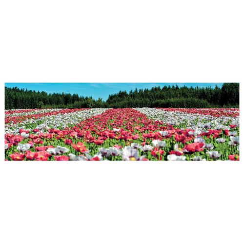 Bubola & Naibo FLOWER FIELD 26150F0 Stampa su tela (150x50cm) | SME